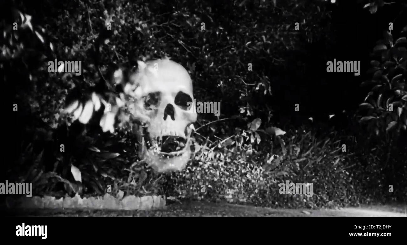 A creepy skull Stock Photo - Alamy