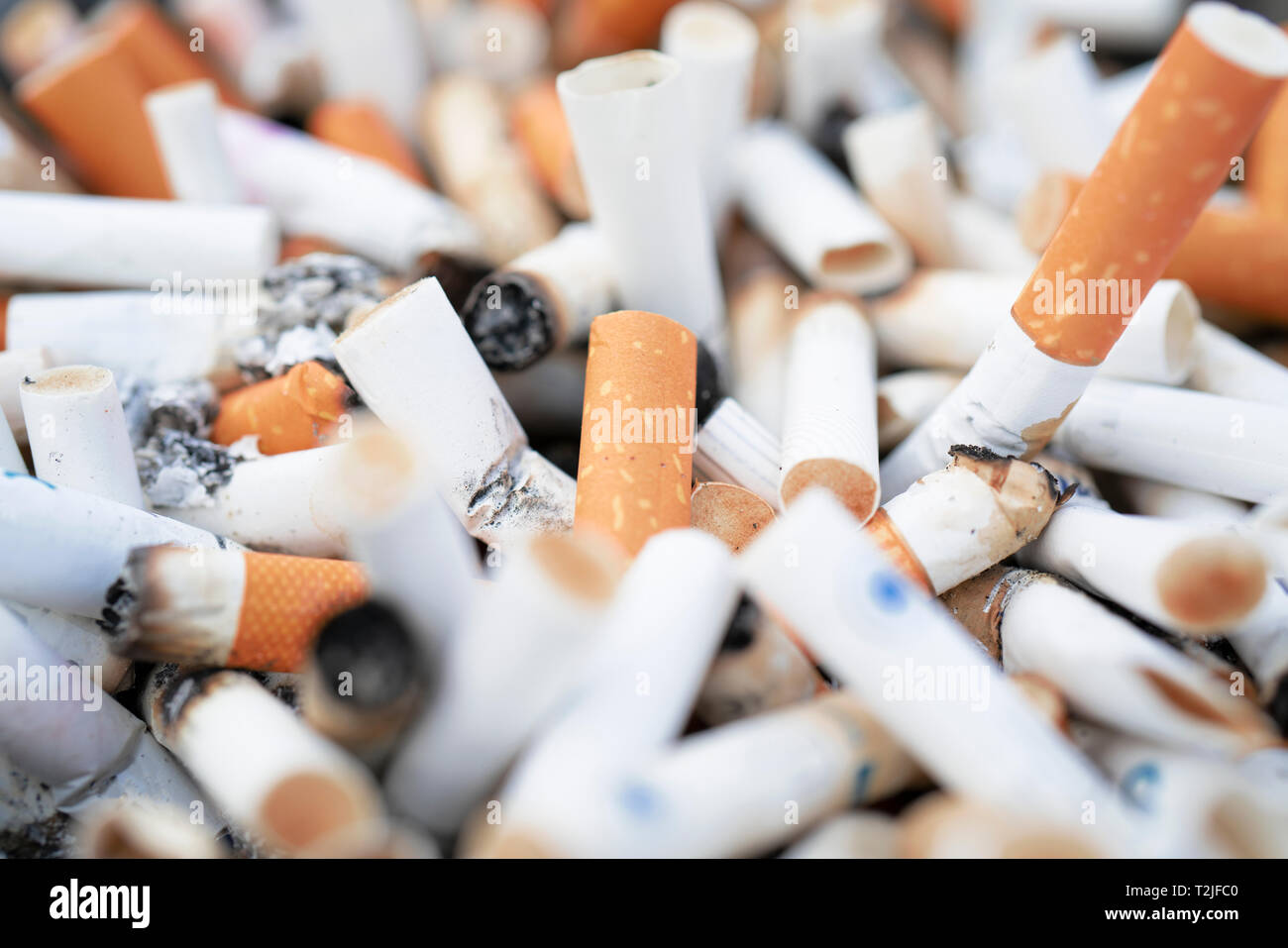 Cigarette butts background / cigarette butts / cigarette Stock Photo ...