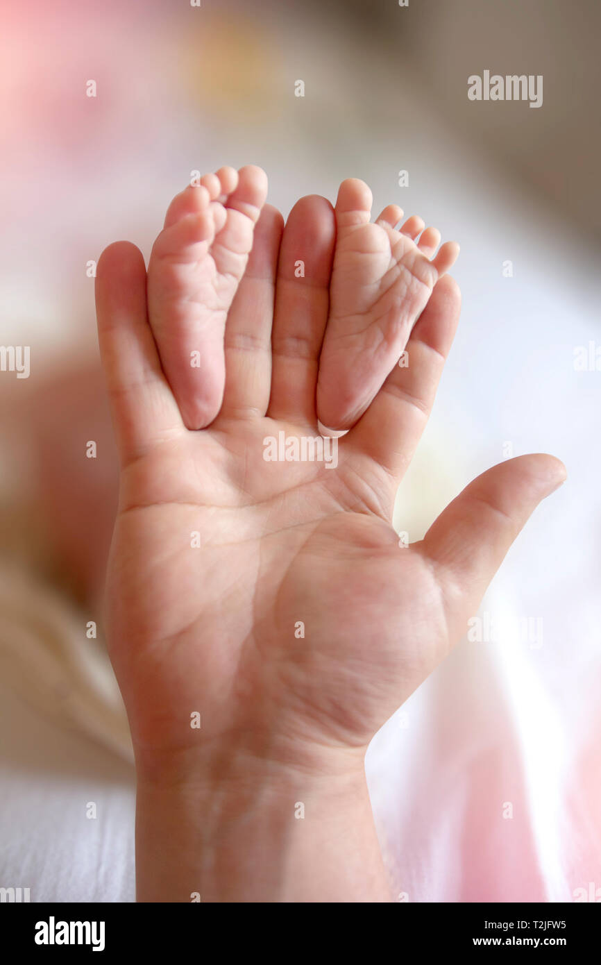 Father Hands Holding Small Baby Feet. Close-up Tiny Baby Feet in Hands ...