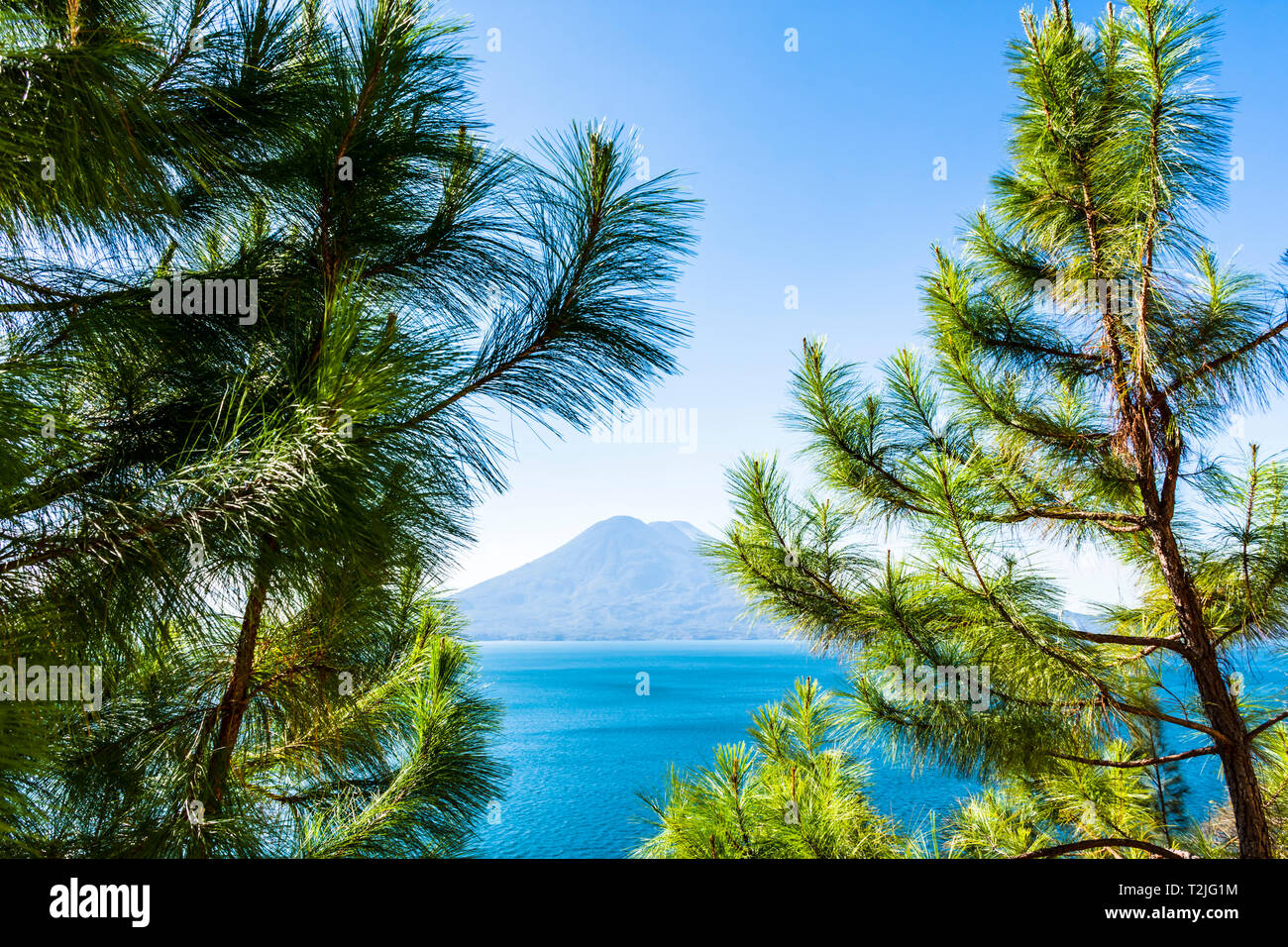 High viewpoint view through trees of Atitlan & Toliman volcanoes across ...