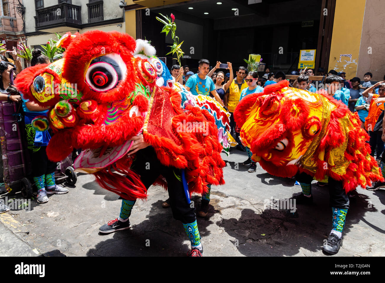 Celebration of the Chinese New Year in Lima, Peru, South America. Dance ...