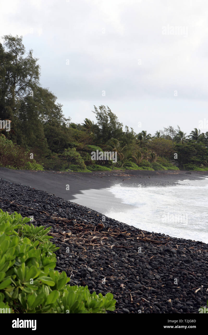 The shoreline of the black sand and pebble beach of Hana Bay lined with ...