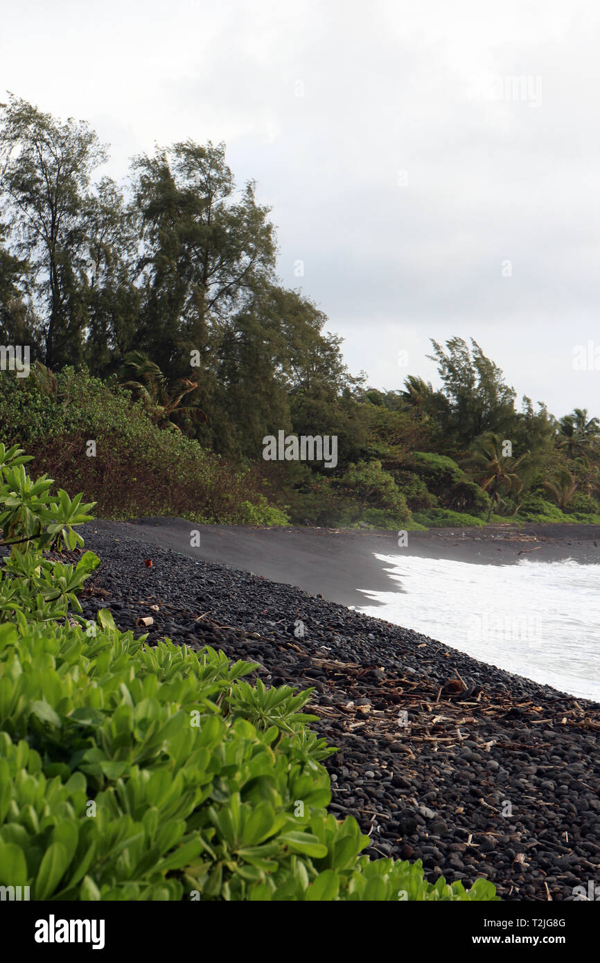 The shoreline of the black sand and pebble beach of Hana Bay lined with ...