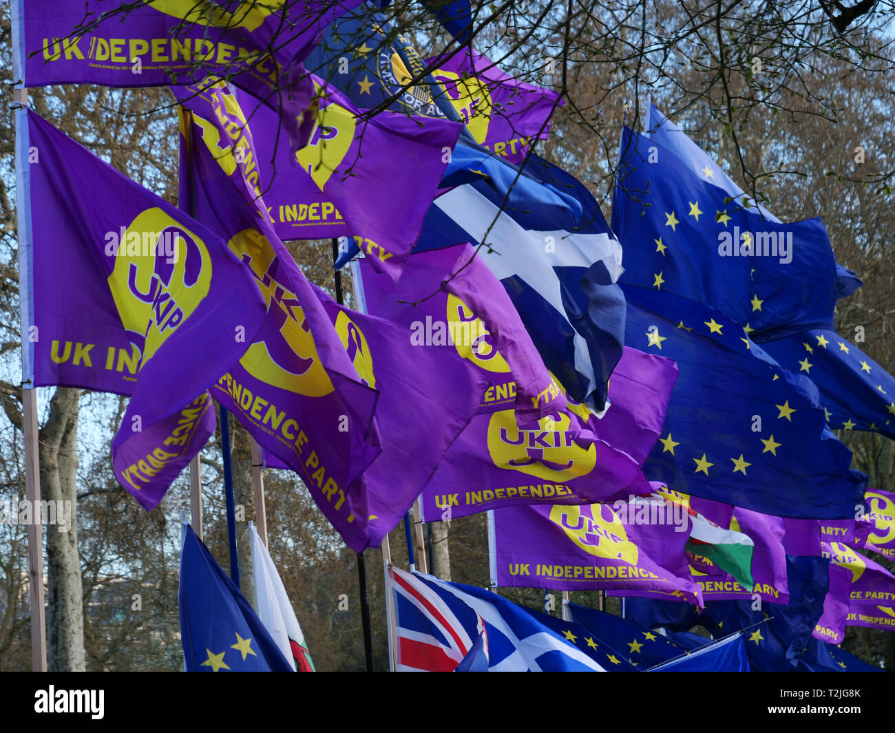 Pro Brexit flags of UKIP waving alongside the flags of the European ...