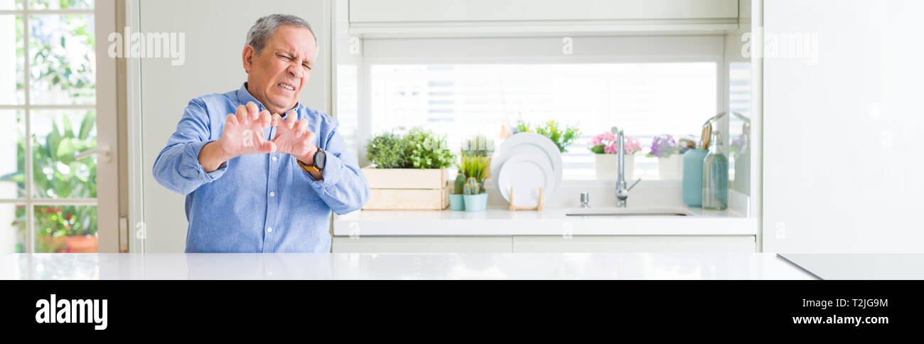 Wide angle perspective of handsome senior man at home disgusted ...