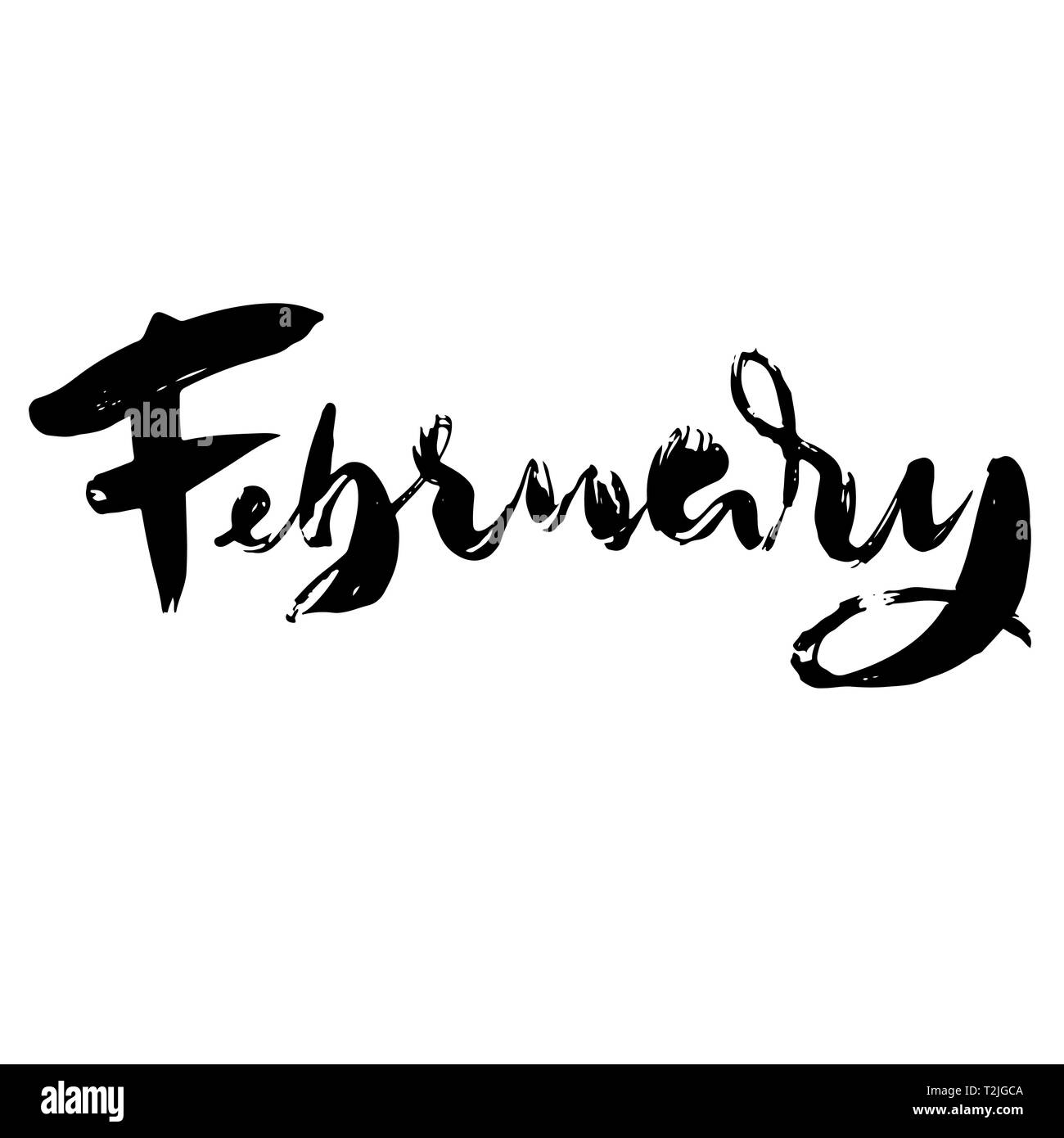 Modern brush lettering. February. Winter typography banner. Vector ...