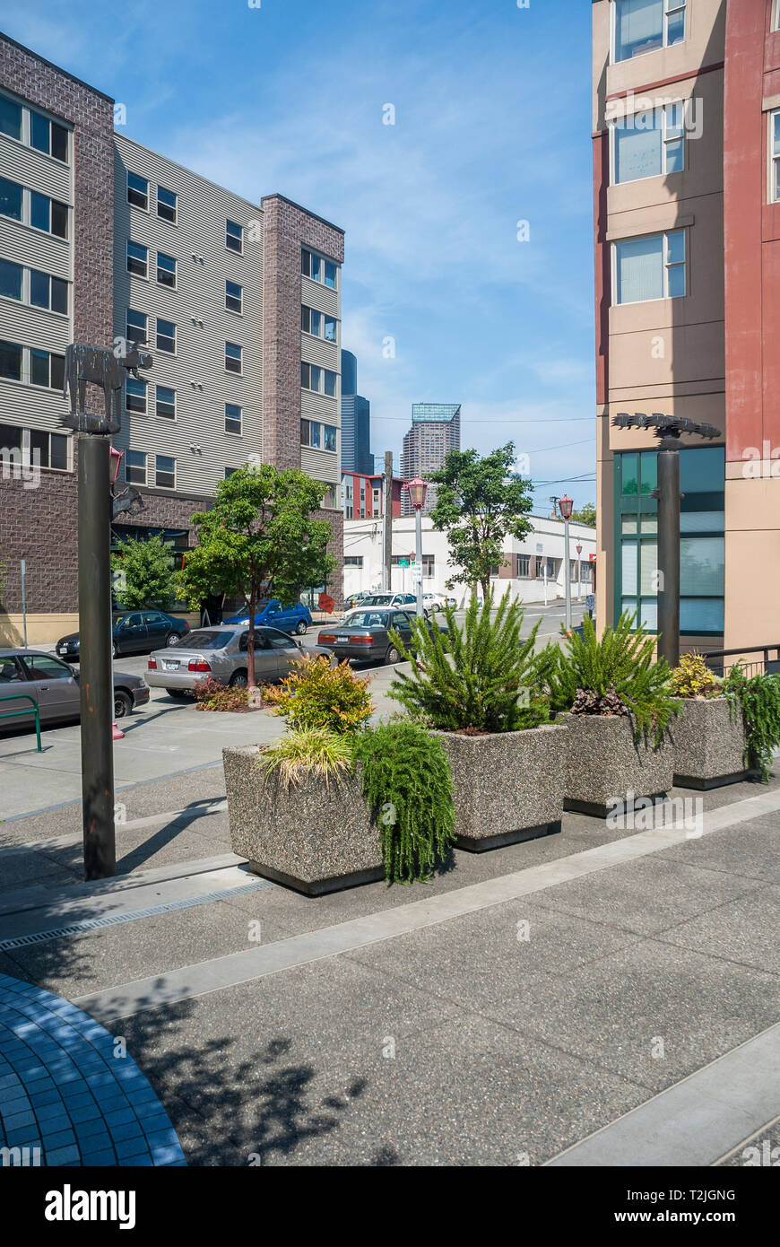 Pavement planters hi-res stock photography and images - Alamy