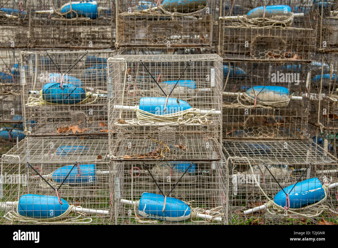 Stacks of seafood hi-res stock photography and images - Alamy