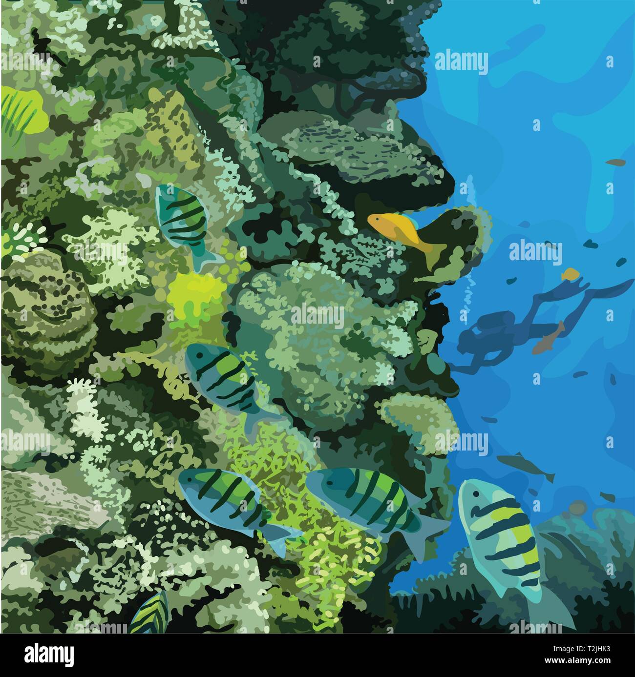 Fish sea animals plants seaweed hi-res stock photography and images - Alamy