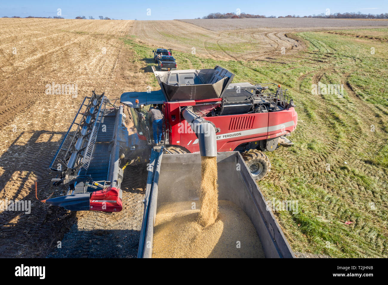 Soybean field family hi-res stock photography and images - Alamy