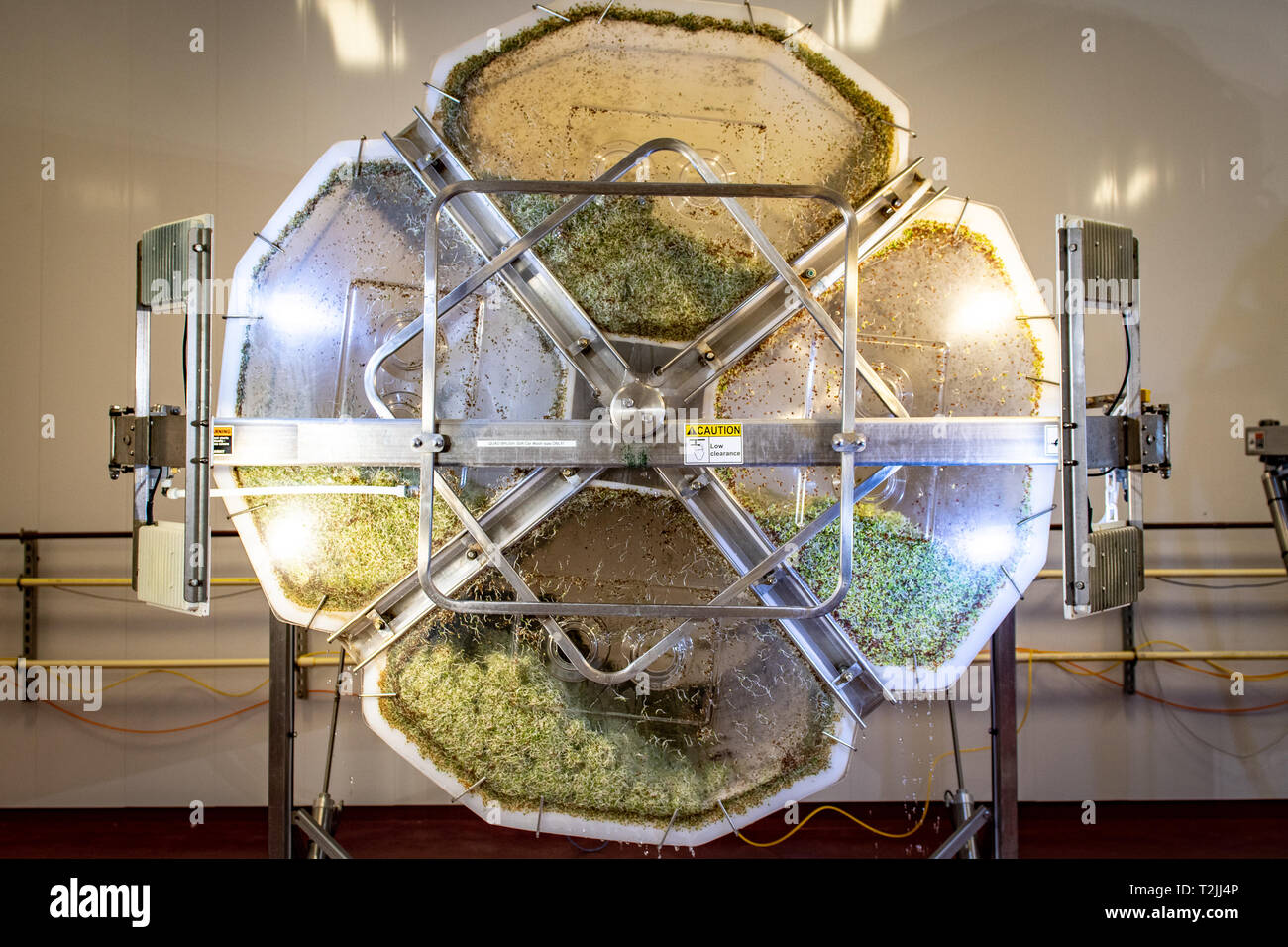 Hydroponic sprouting equipment hi-res stock photography and images - Alamy