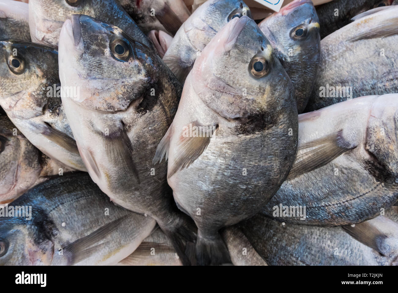 Bream fish market hi-res stock photography and images - Alamy