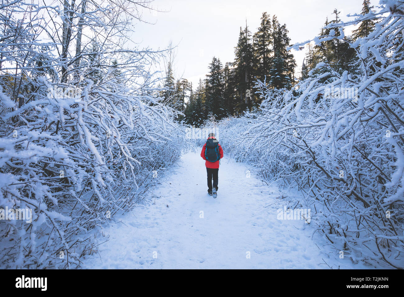 Hike bc hi-res stock photography and images - Alamy