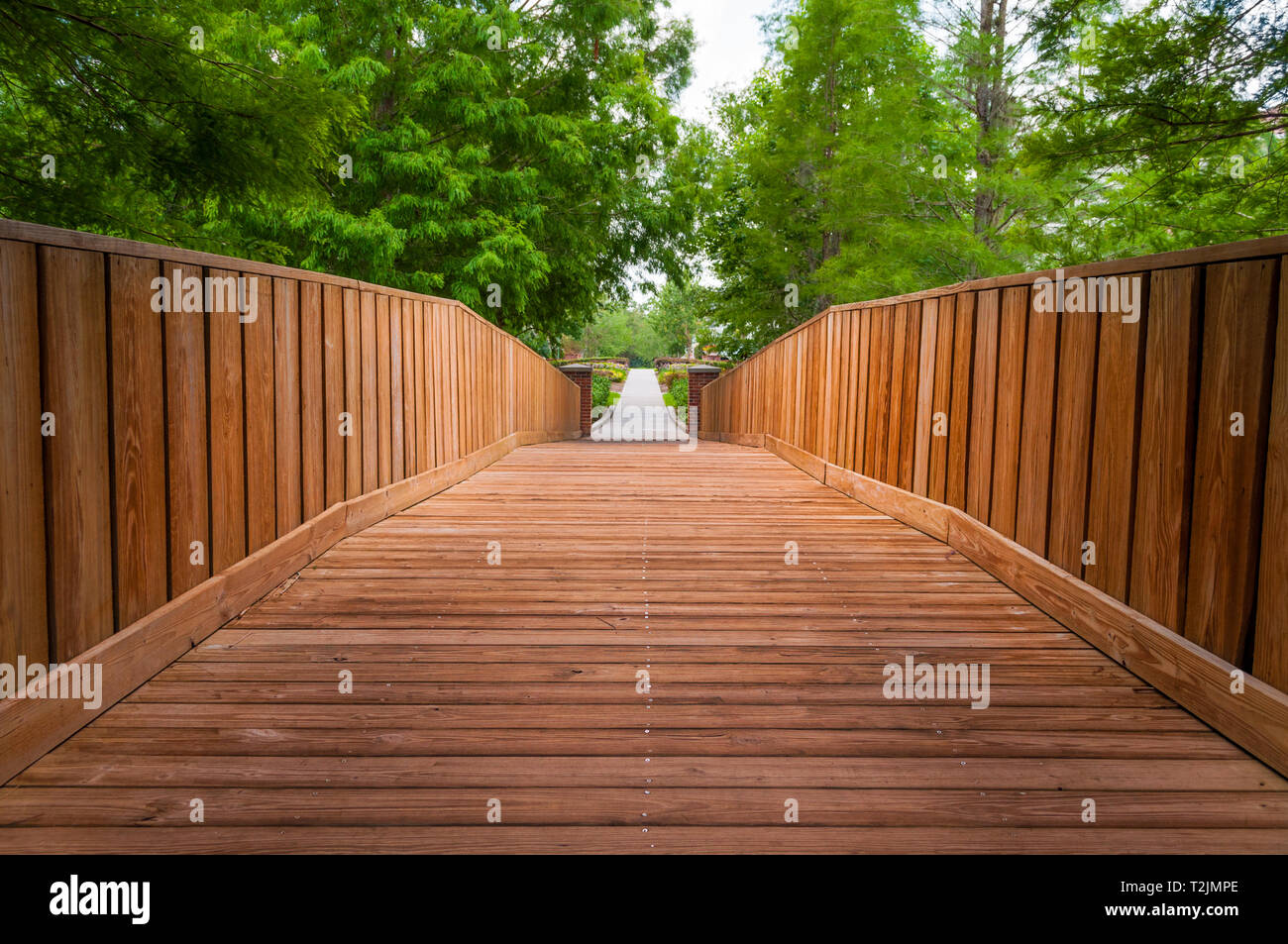 Ground view of wooden plank footbridge with trees in background Stock ...