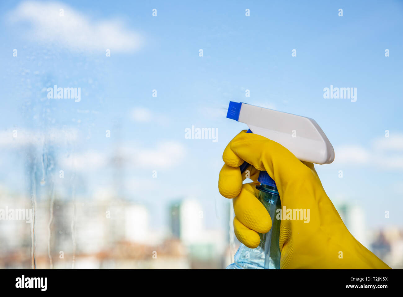 Female hand in yellow gloves cleaning window with spray detergent ...