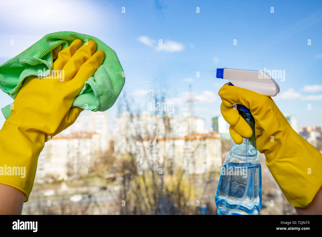 the Female hands in yellow gloves cleaning window with green rag and ...