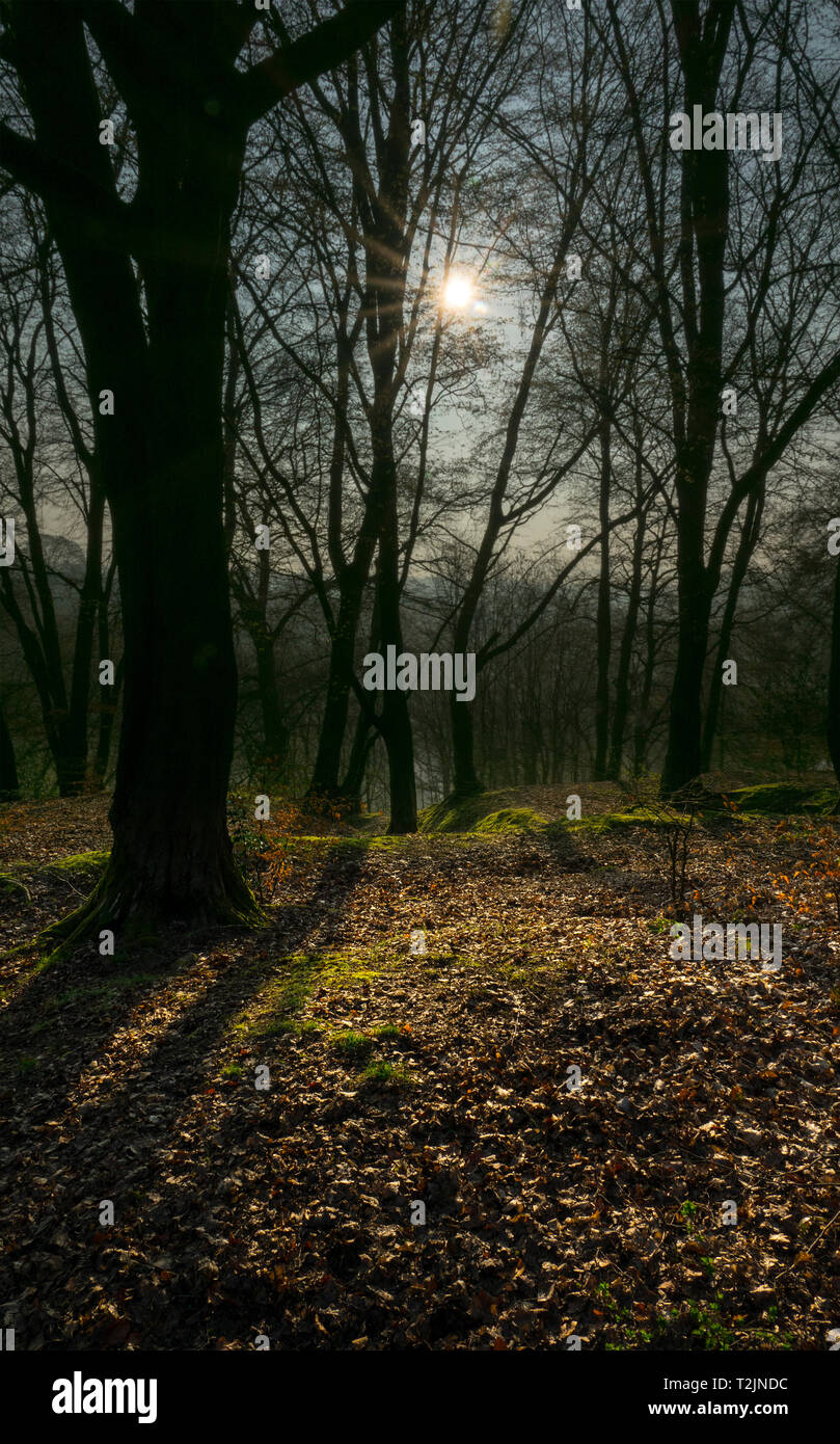 Whitcliffe common ludlow hi-res stock photography and images - Alamy