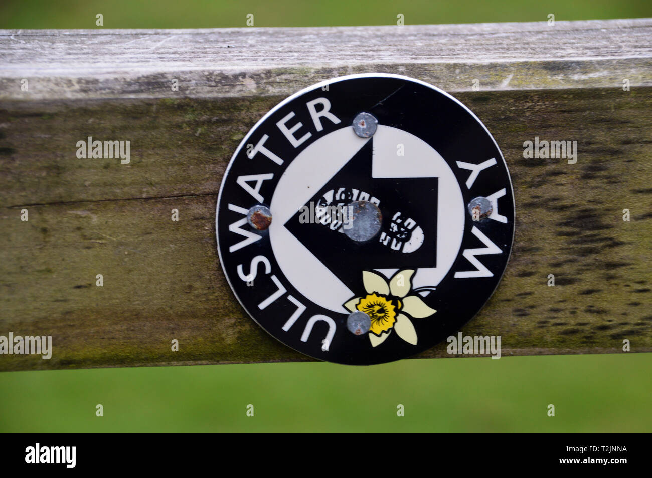 Waymarker on Wooden Post for Ullswater Way a 20 Mile Walk around the ...