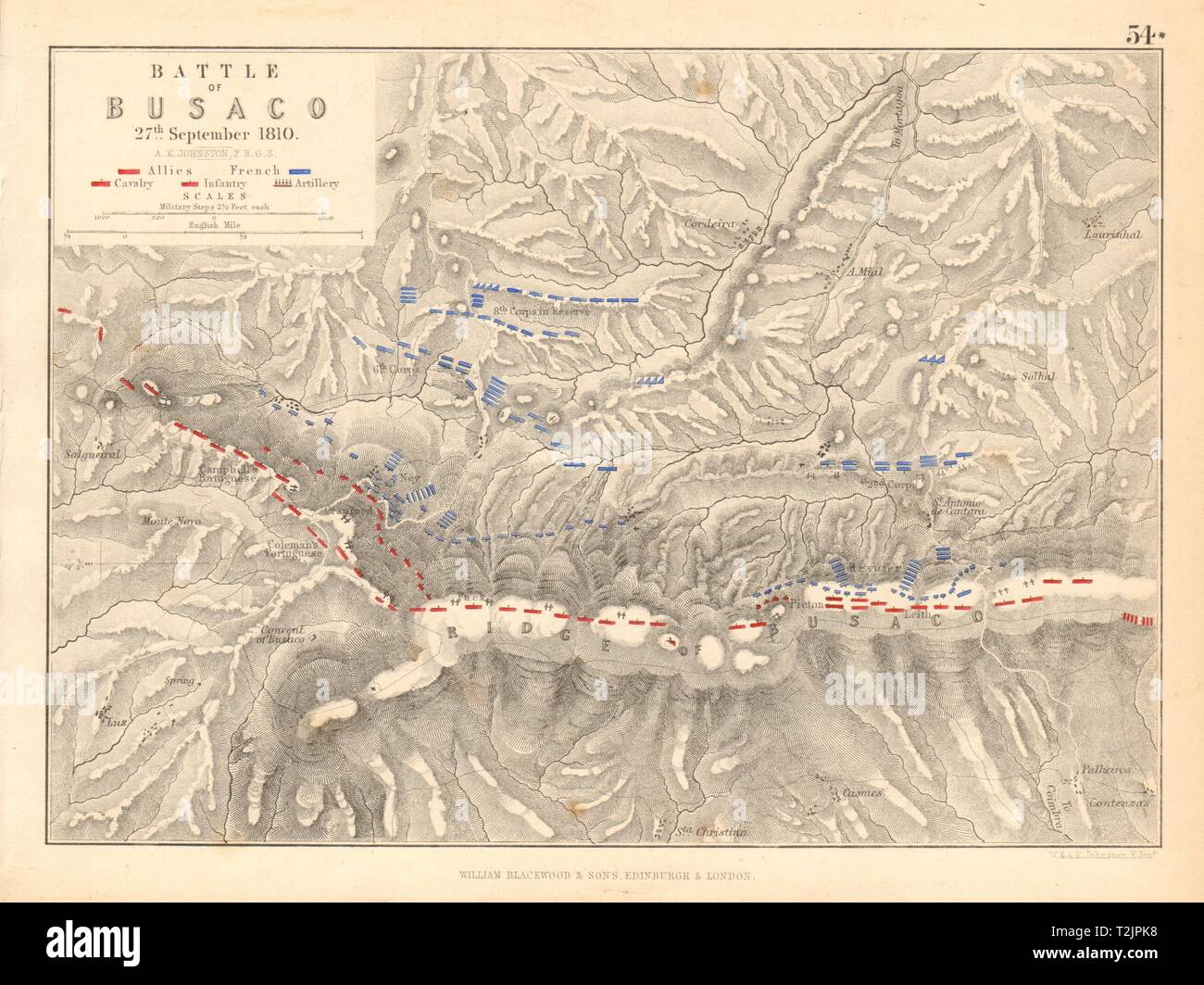 Battle of Bussaco 17 September 1810. Buçaco Portugal. Peninsula War ...