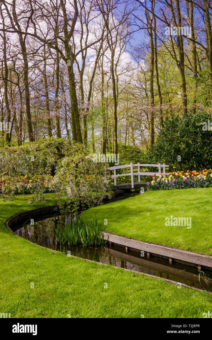 A Sunny day in the park. Beautiful landscape Stock Photo - Alamy