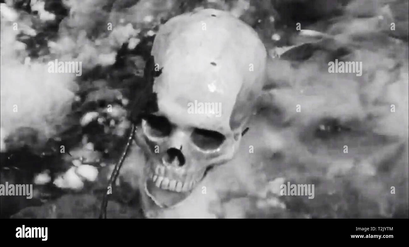 A creepy skull Stock Photo - Alamy