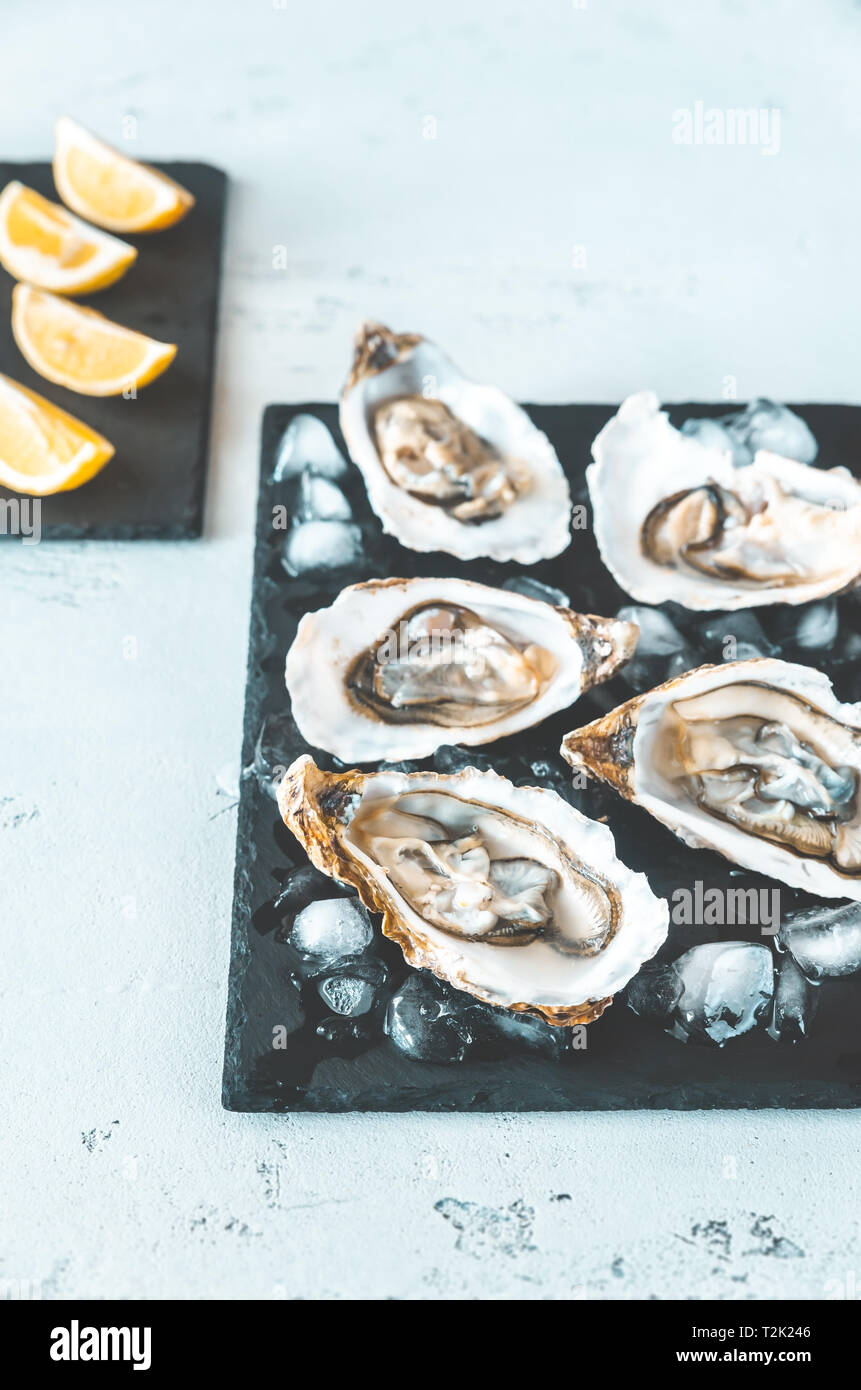 Close up of pacific oysters hi-res stock photography and images - Alamy