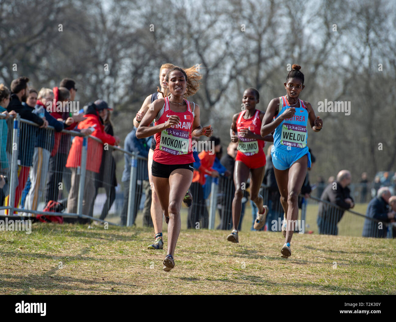 Senior Women's Race, IAAF World Cross Country Championships 2019 Stock ...