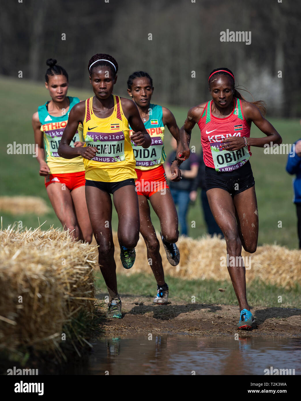 Senior Women's Race, IAAF World Cross Country Championships 2019 Stock ...