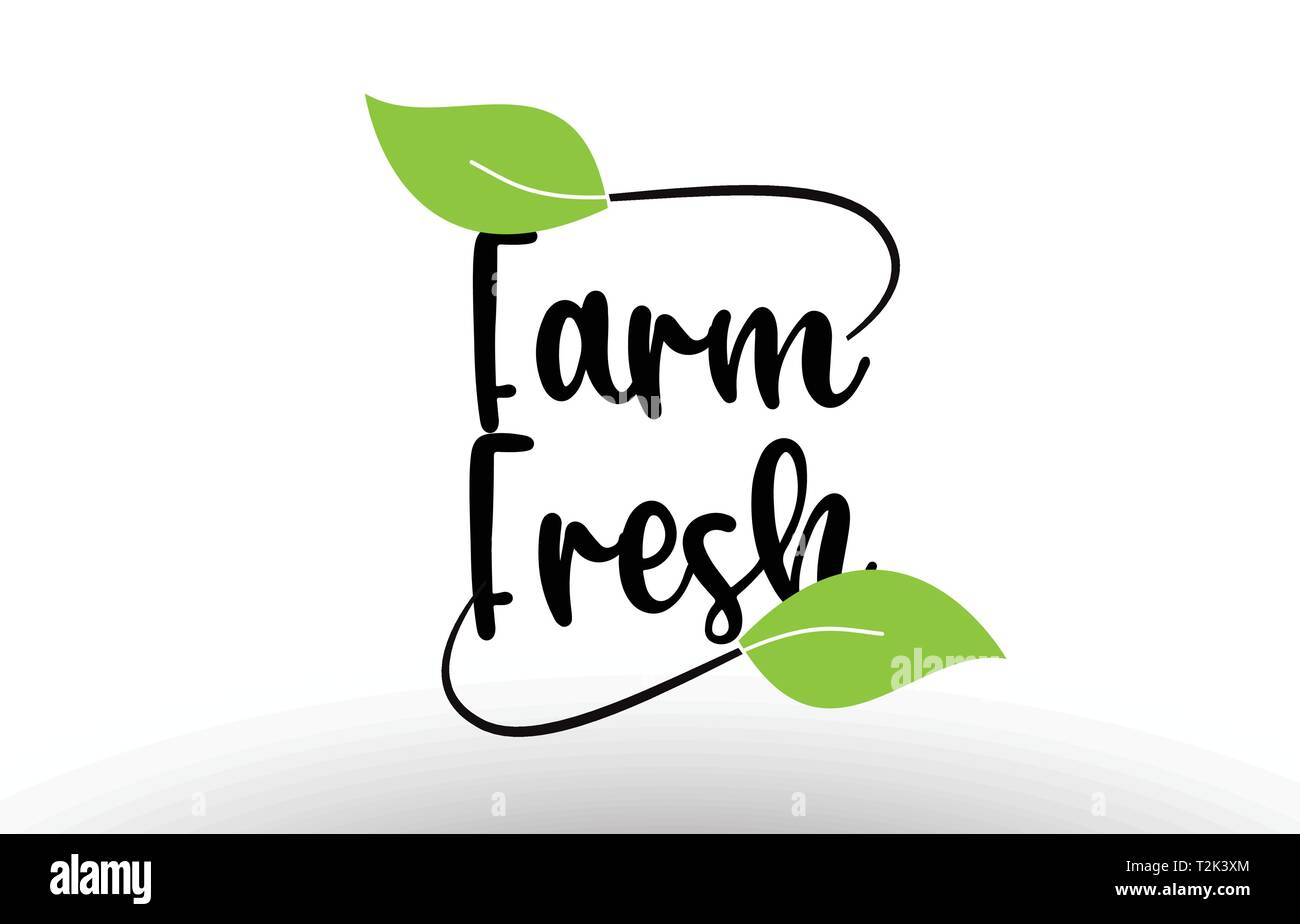Farm Fresh word or text with green leaf on white background suitable ...
