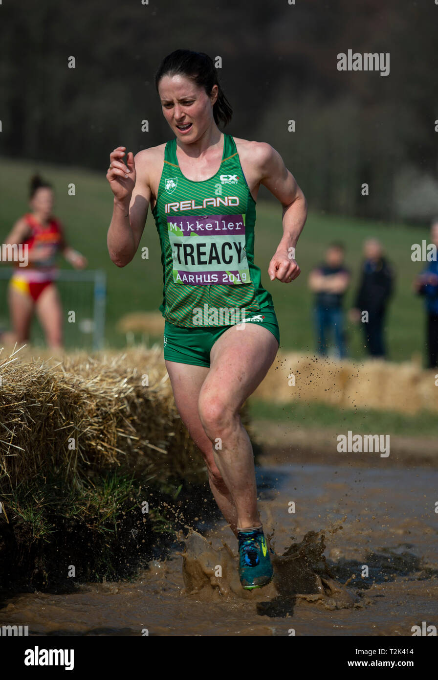 Senior Women's Race, IAAF World Cross Country Championships 2019 Stock ... Senior Women's Race, IAAF World Cross Country Championships 2019 Stock ...