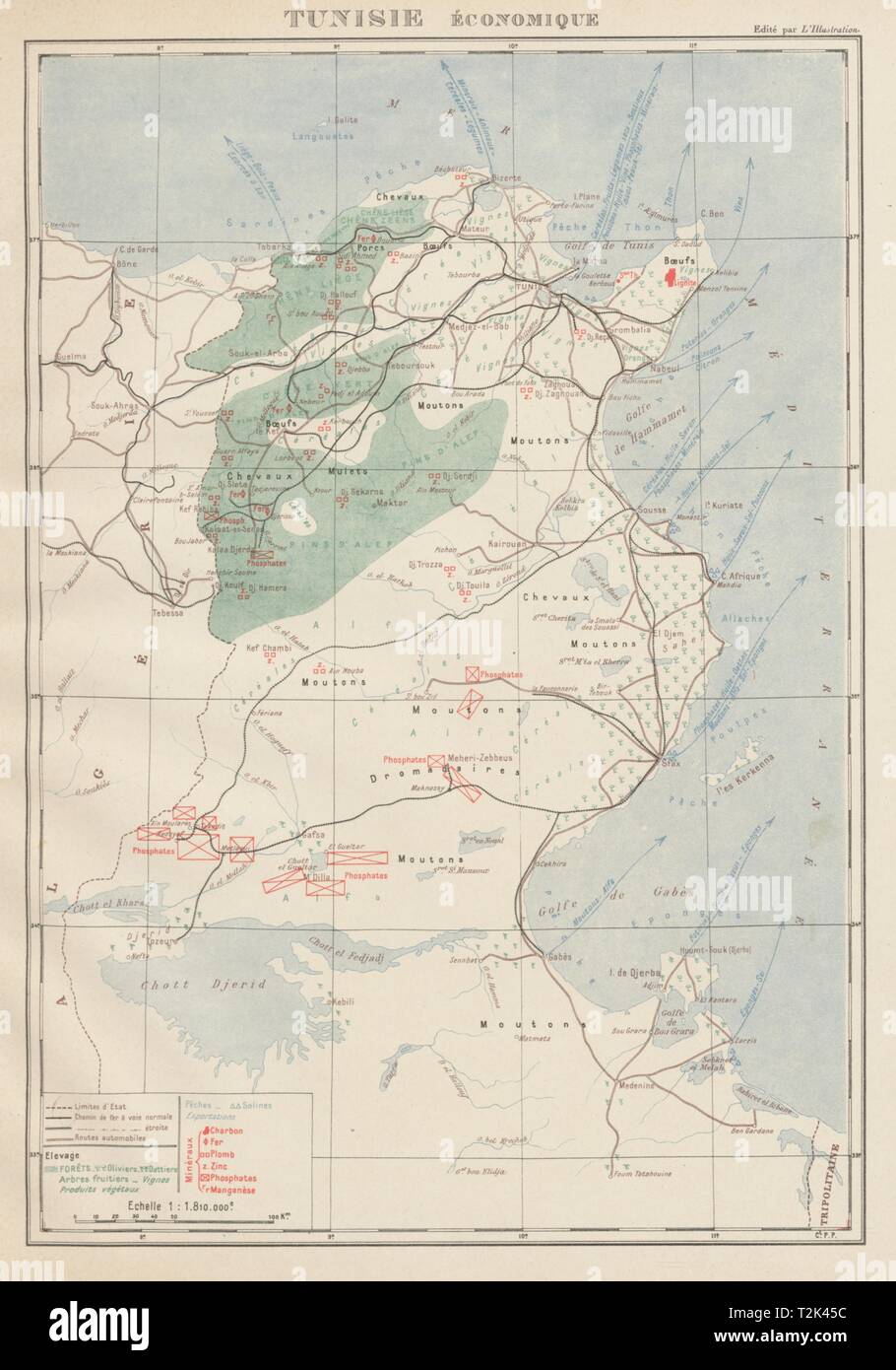 FRENCH COLONIAL TUNISIA RESOURCES. Tunisie. Economique Economic 1929 ...