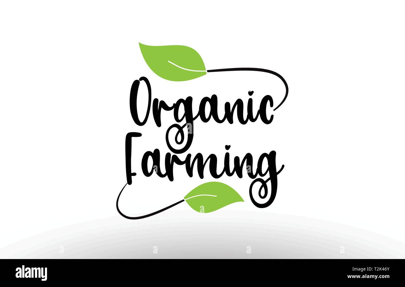 Organic Typography Logo