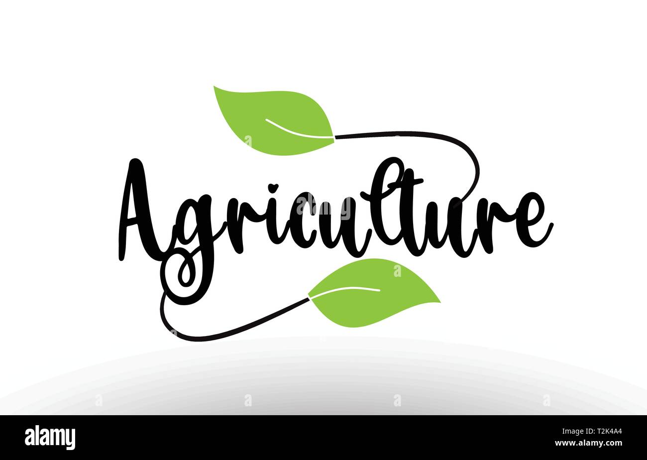 Agriculture word or text with green leaf on white background suitable ...