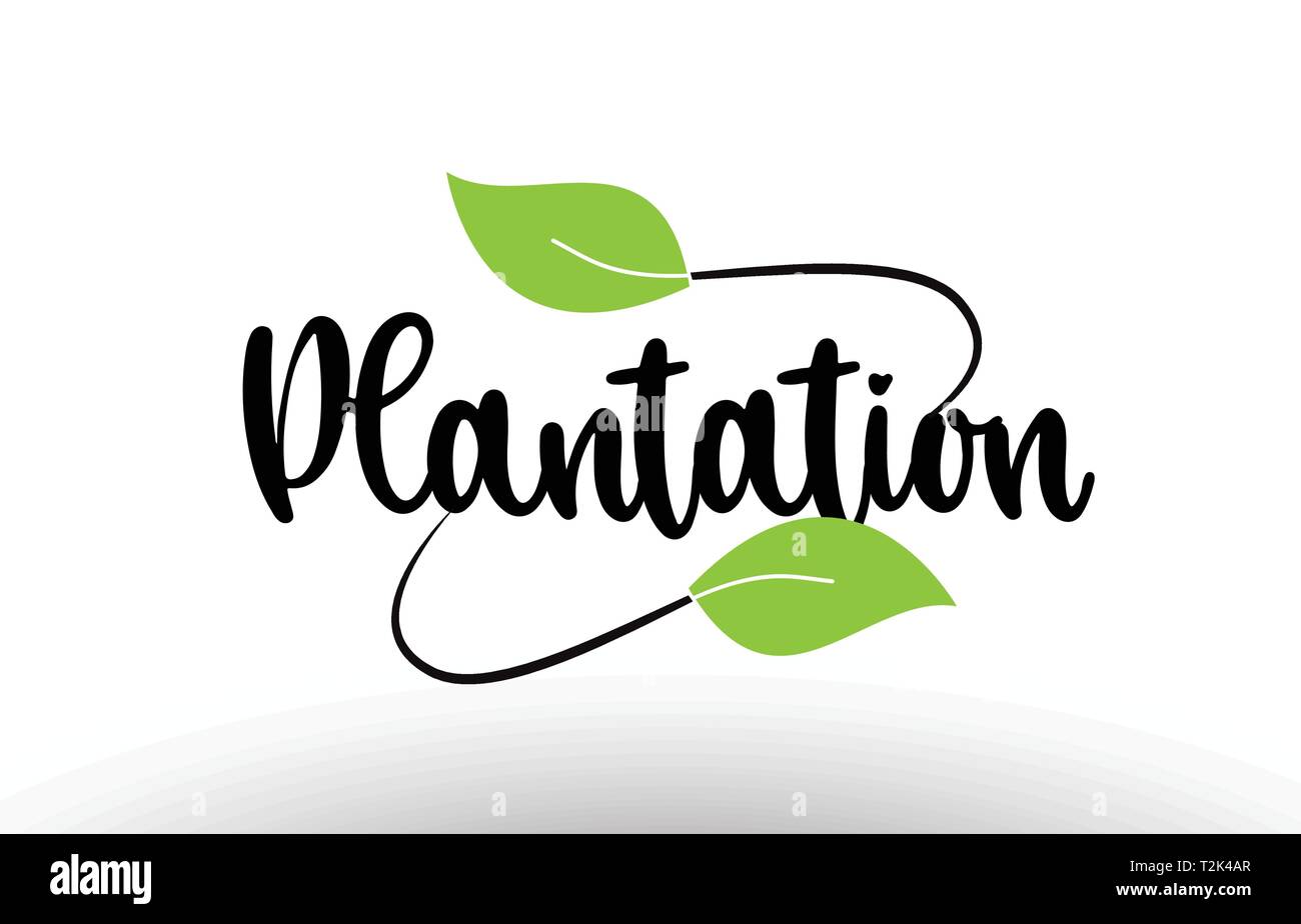 Plantation word or text with green leaf on white background suitable ...