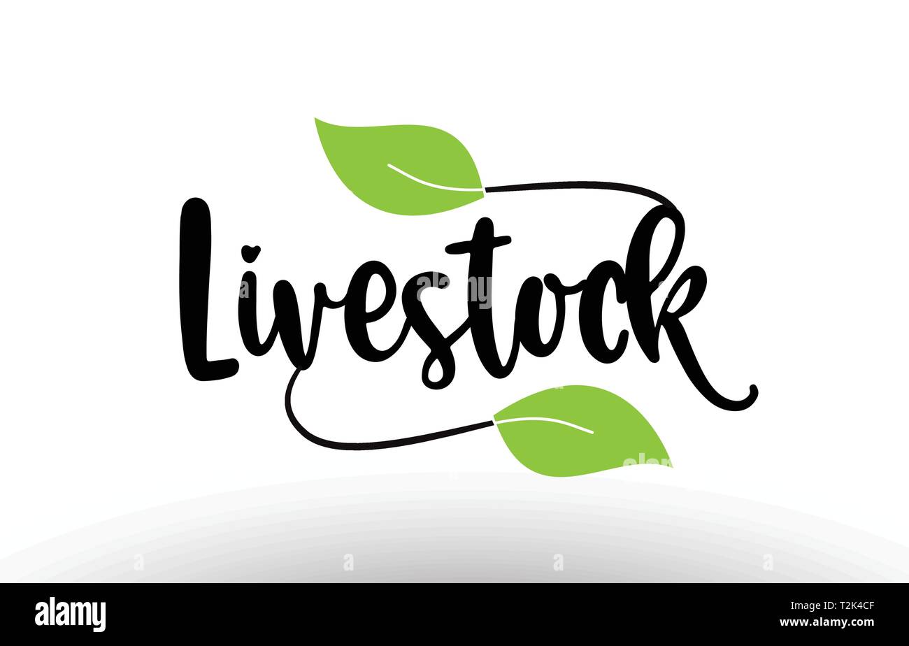Livestock word or text with green leaf on white background suitable for ...