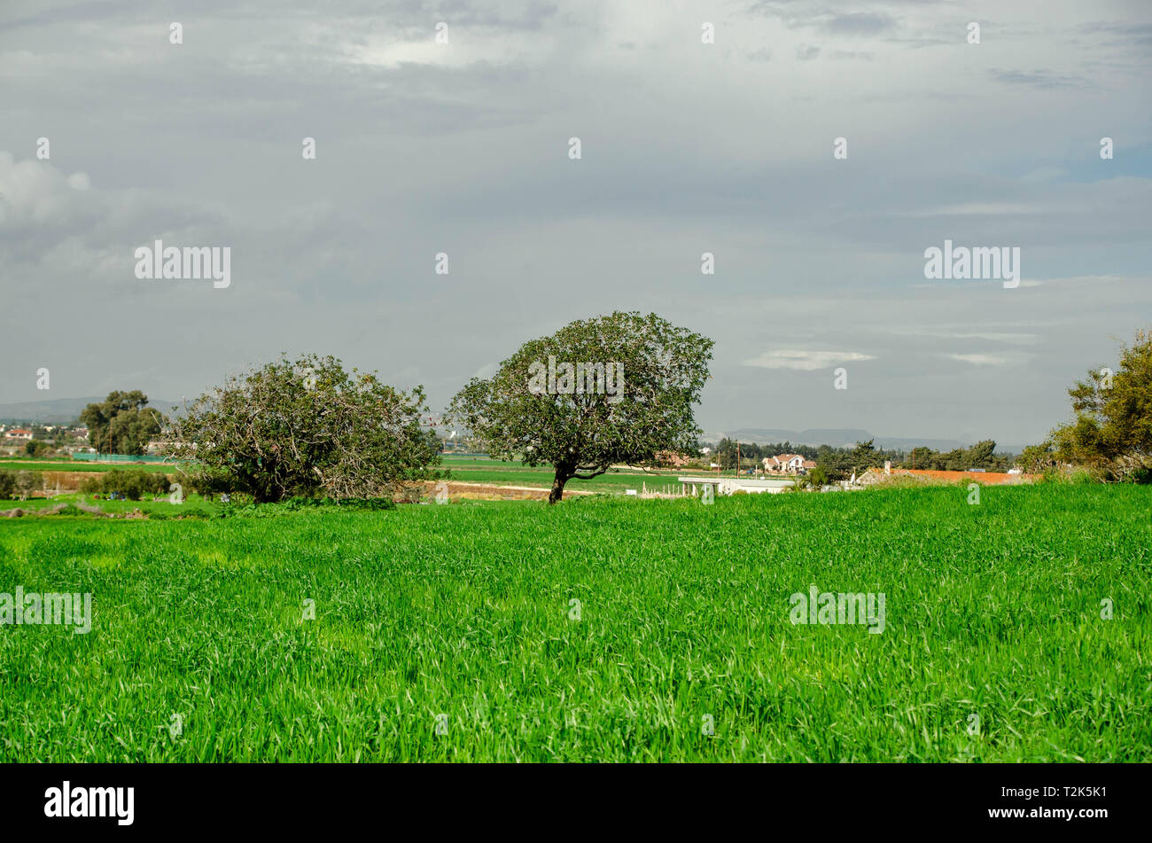 Pervolia hi-res stock photography and images - Alamy