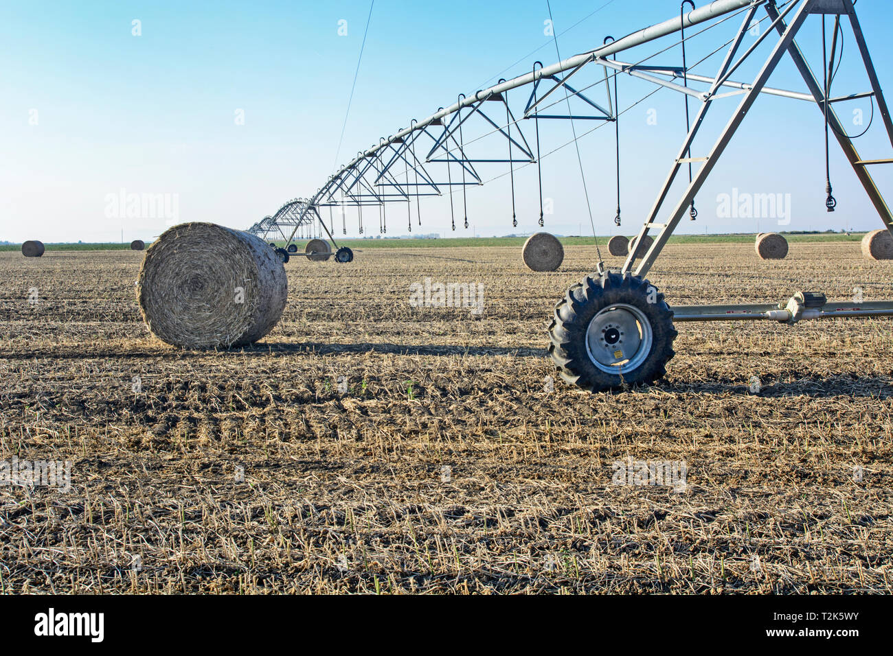 Soybean field after harvest with straw bales and watering system Stock ...