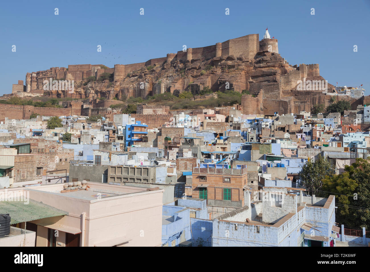 Jodhpur, Rajasthan, India, Asia Stock Photo - Alamy