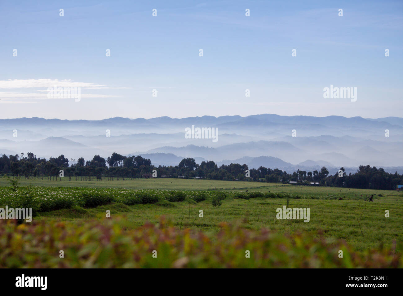Beautiful landscape of Volcanoes National Park, Rwanda Stock Photo - Alamy