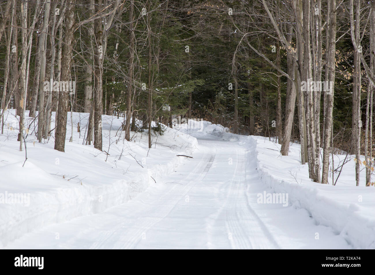 Muskoka ontario hi-res stock photography and images - Alamy