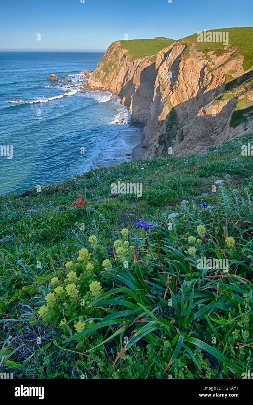 Chimney rock point reyes national hi-res stock photography and images ...