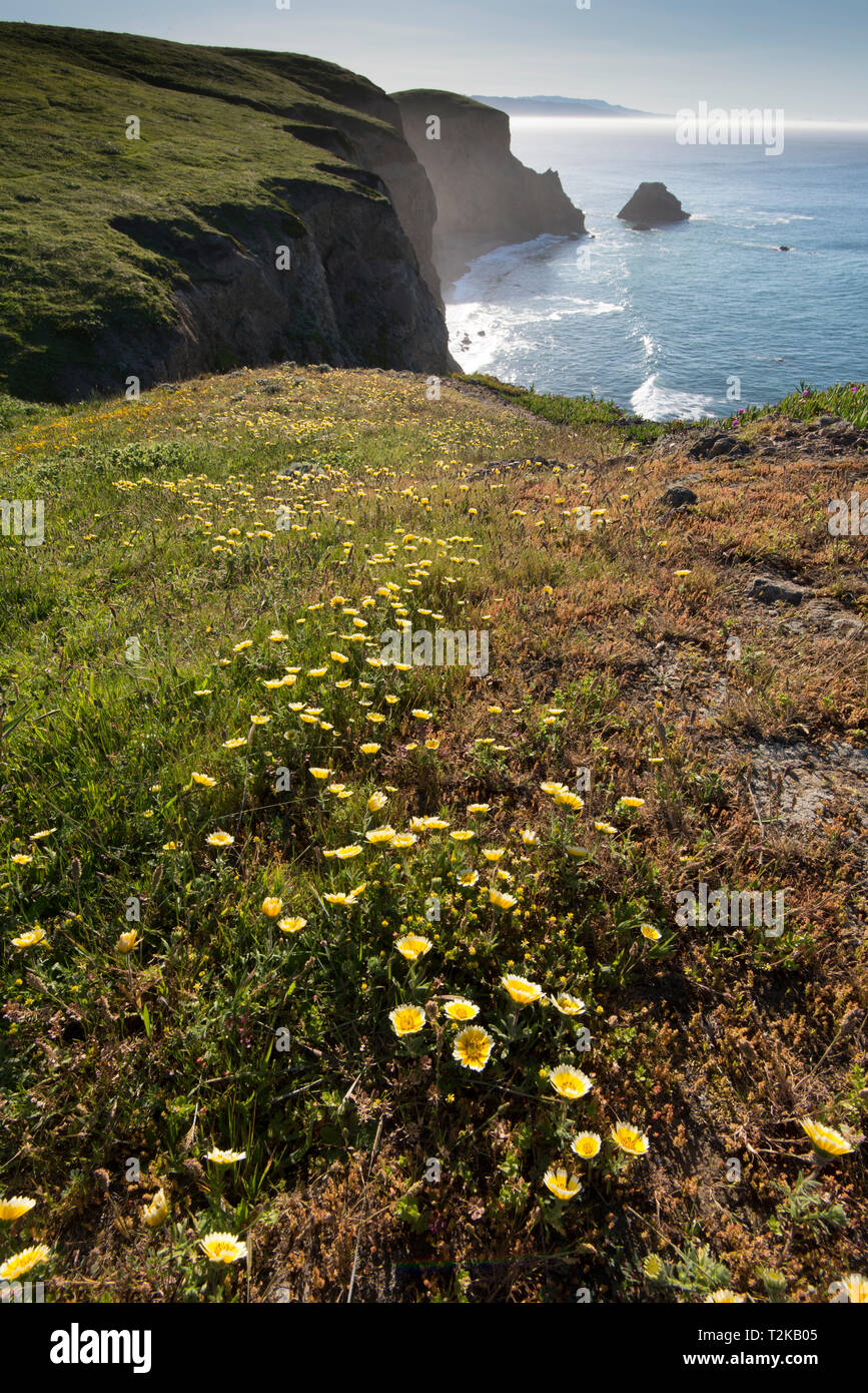 Chimney rock point reyes national hi-res stock photography and images ...
