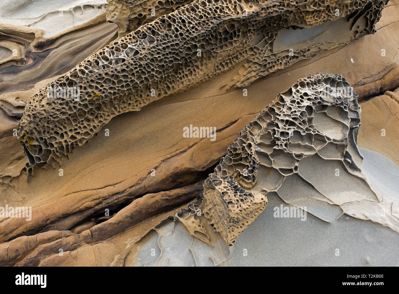 Tafoni rock formation hi-res stock photography and images - Alamy