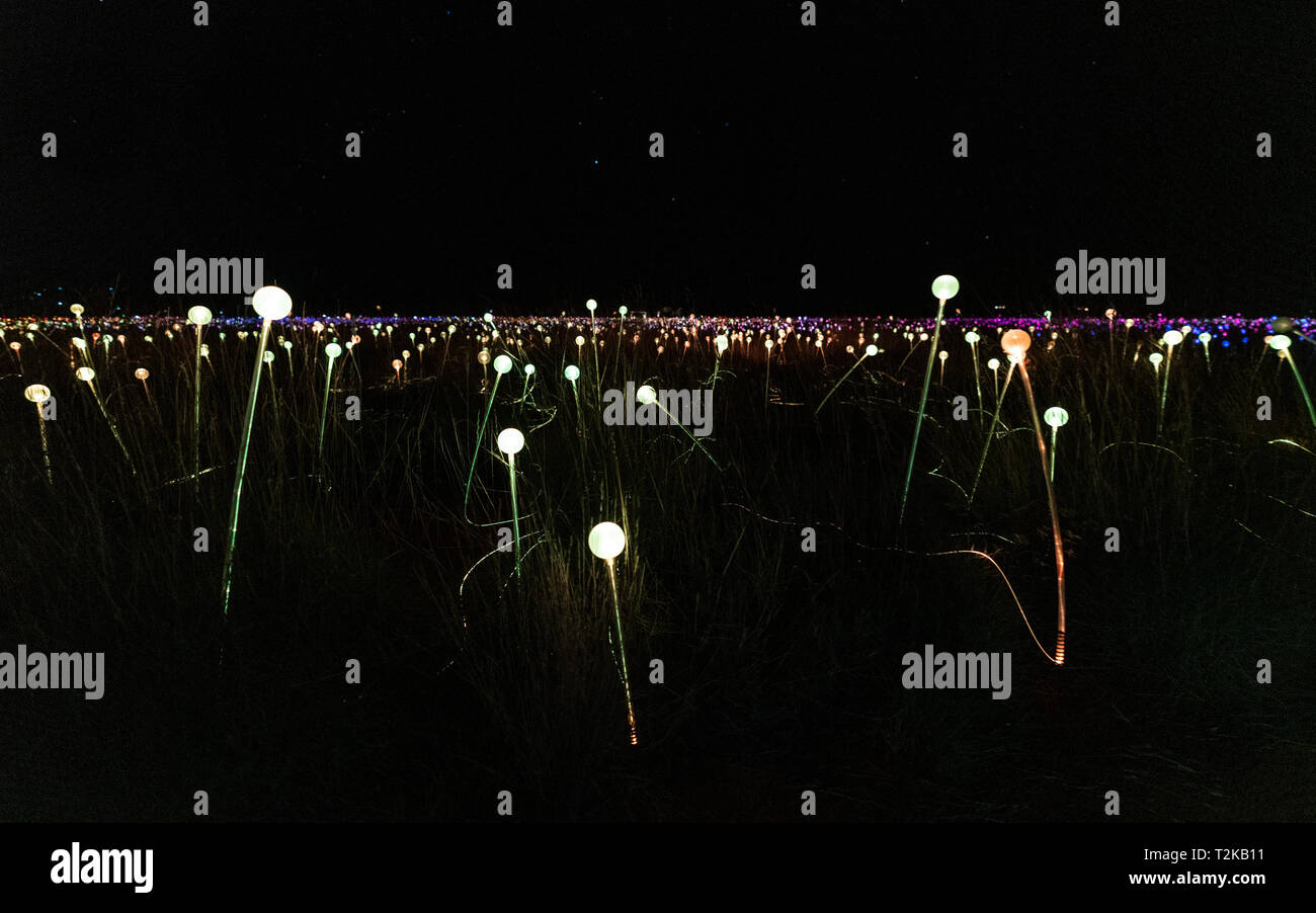 Field of light uluru australia hi-res stock photography and images - Alamy