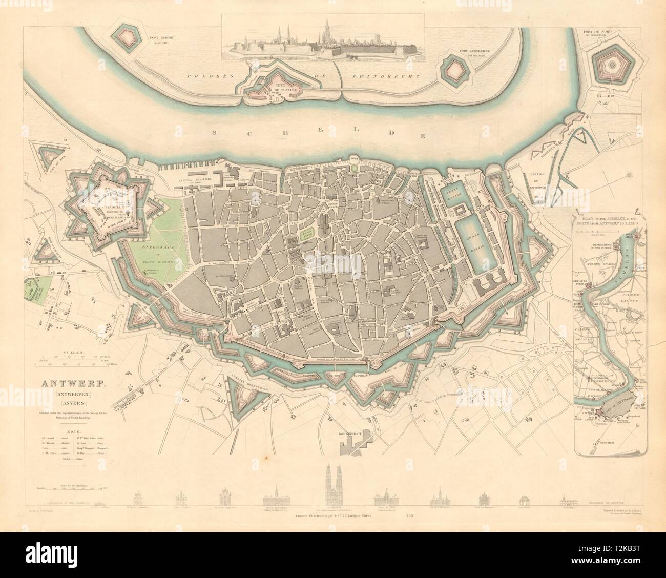 ANTWERP ANTWERPEN ANVERS. Town city map. Schelde forts Lillo. SDUK 1847 ...