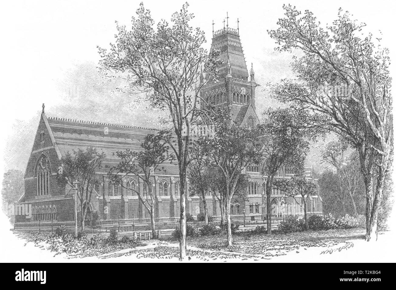 Harvard college 19th century hi-res stock photography and images - Alamy