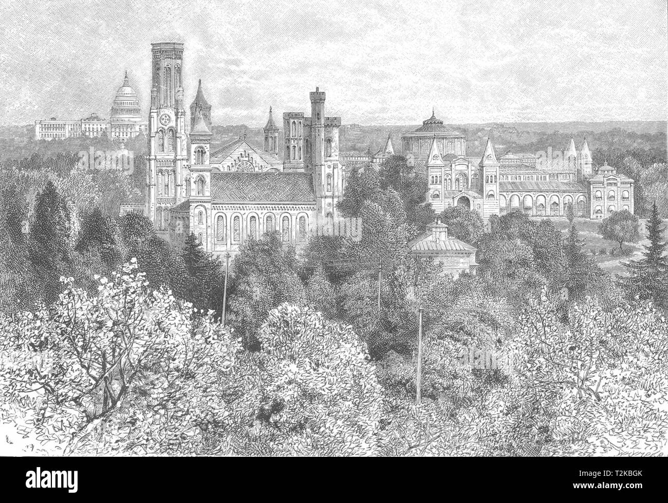 WASHINGTON DC. The Smithsonian Institution at Washington 1891 old print ...