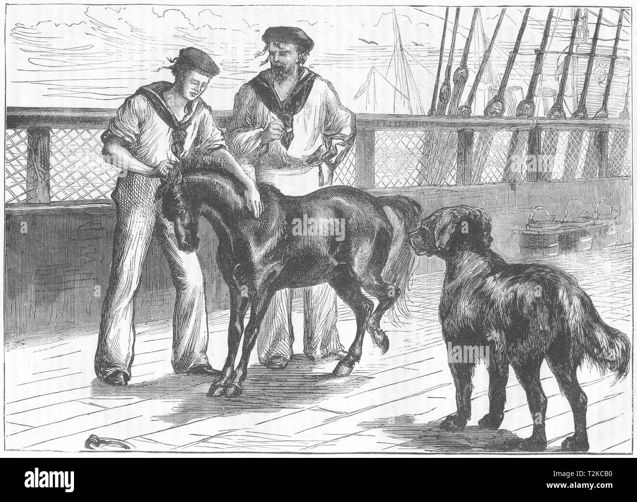 TIBET. On board the Serapis. The pony and Tibet Mastiff c1880 old print ...