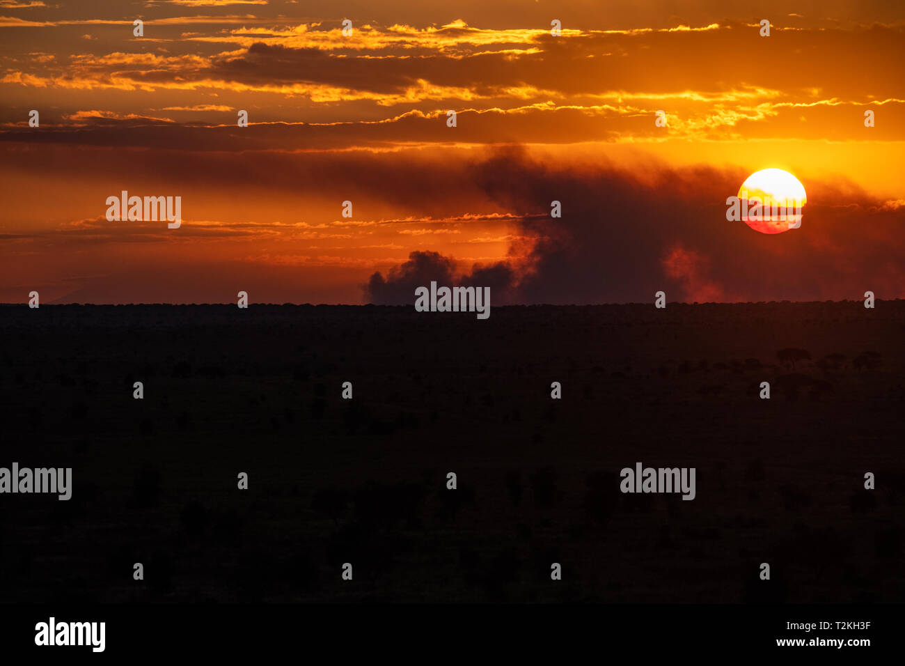 West africa savanna sunset hi-res stock photography and images - Alamy