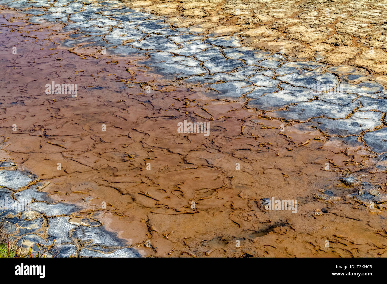 Brine water hi-res stock photography and images - Alamy